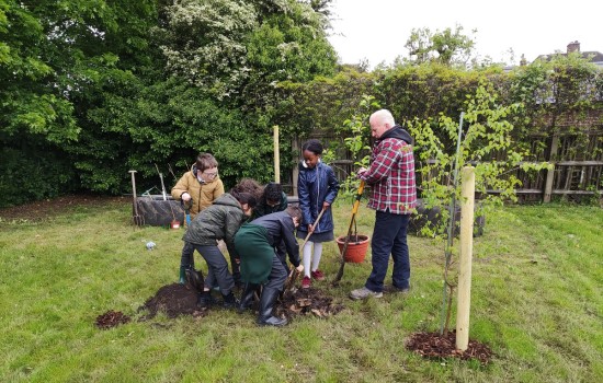 Free Trees, Resources and Support for Youth Groups from The Tree ...